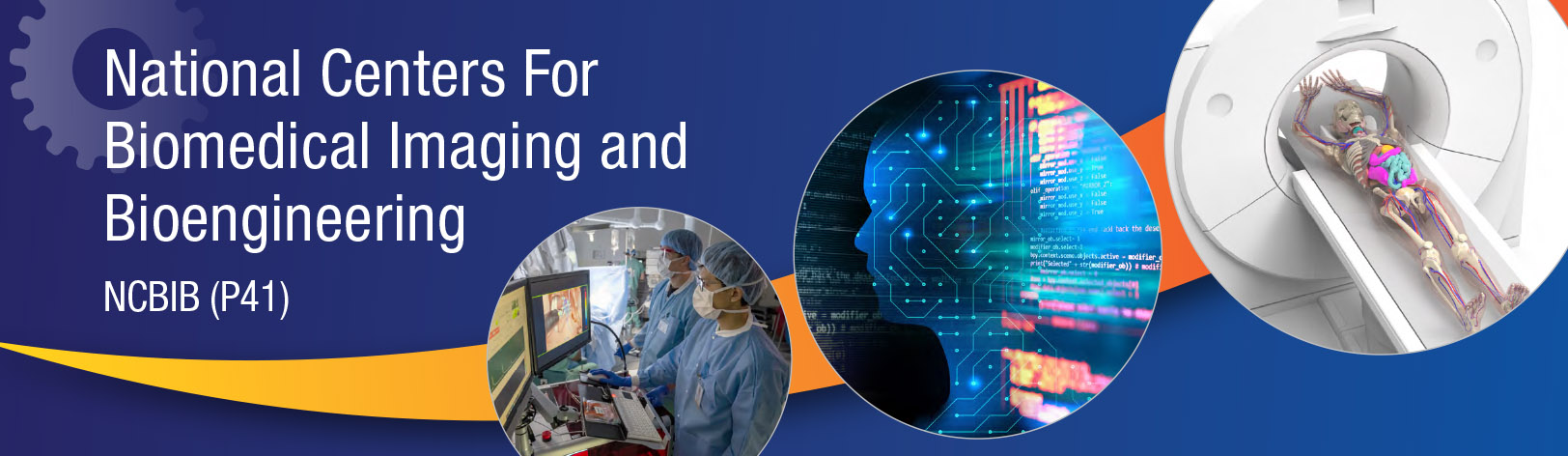 National Centers for Biomedical Imaging and Bioengineering | National Institute of Biomedical ...